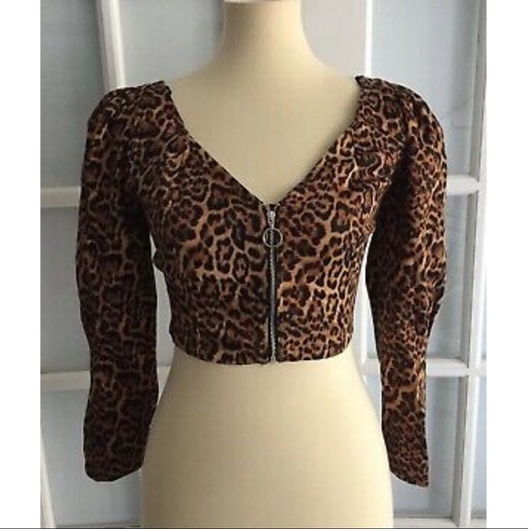 Zara | Tops | Zara Animal Print Crop Top | Poshmark